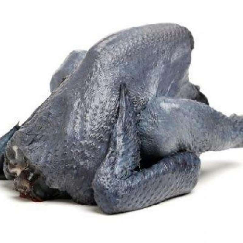 Jual Chicken Black Whole /daging Ayam Hitam Lokal Di Seller ...