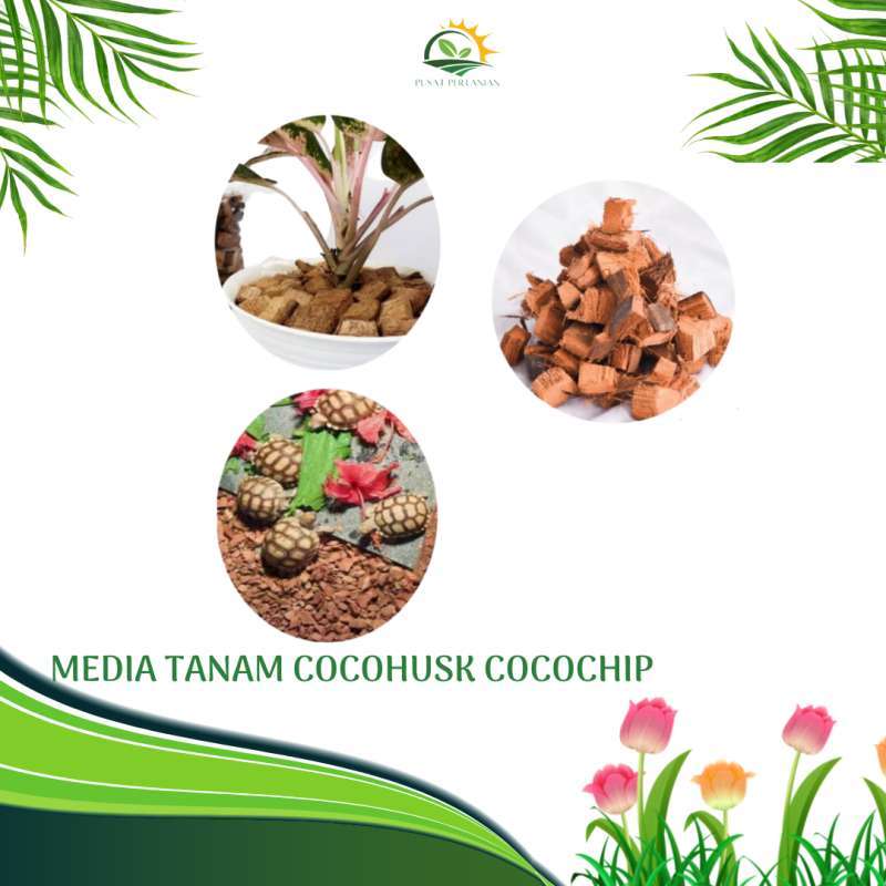 Jual ZAK 4KG COCOHUSK COCOCHIP media tanam alas kandang karung 25kg ...