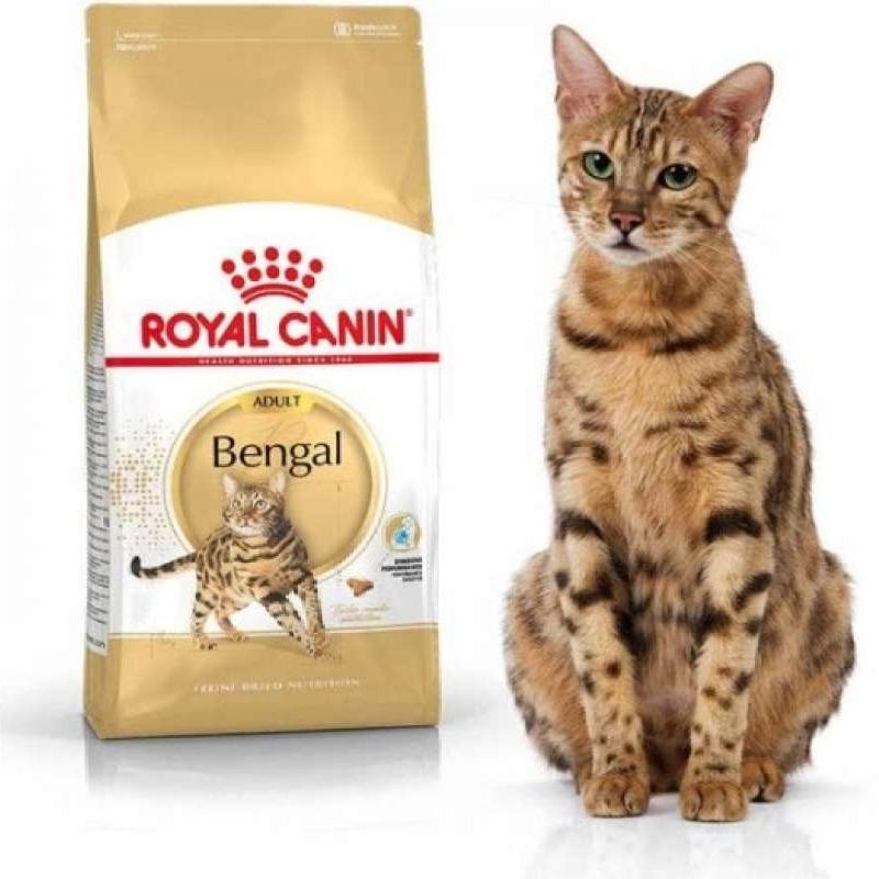 Jual Royal Canin Bengal 2Kg / Makanan Kucing Ras Bengal 2Kg di Seller ...