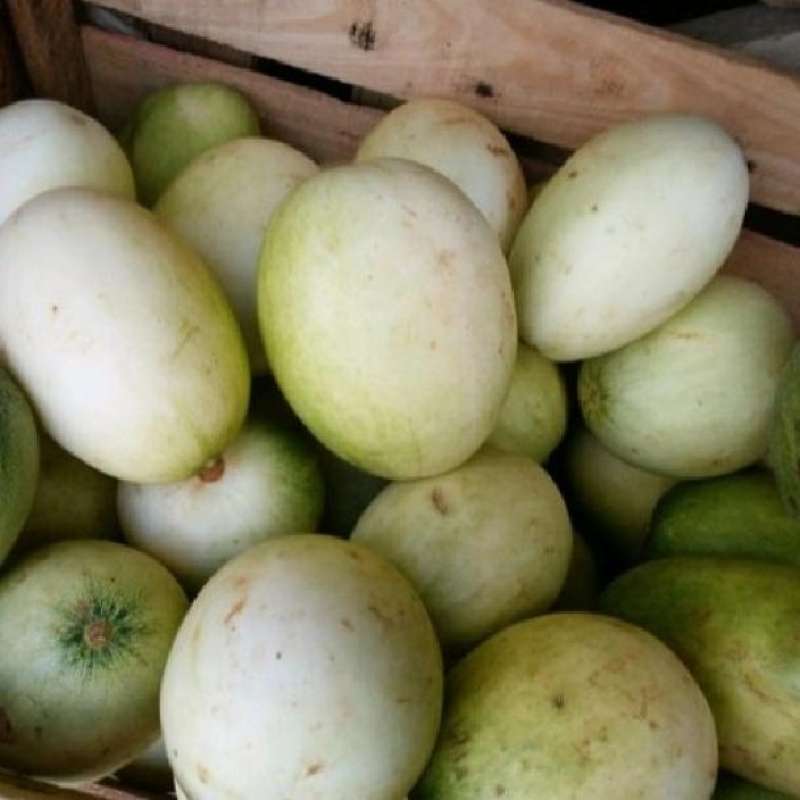 Jual Timun Suri Segar/Buah Hirbis 1kg di Seller Rumbo Sayur - Suka Asih ...