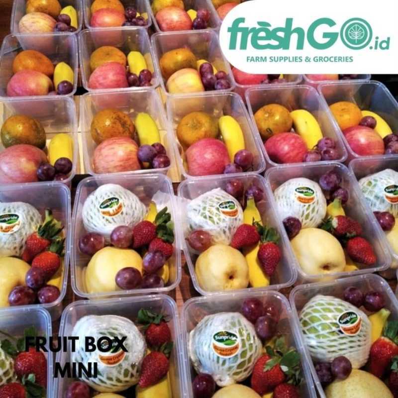 Jual Mini Fruit Box Segar Hampers Premium Bandung Di Seller Freshgo ...