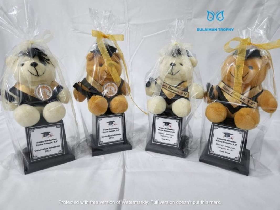 Jual Hadiah Piala Boneka Wisuda / Kelulusan Dan Tulisan Logo di Seller ...
