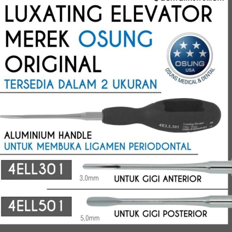 Bein Gigi Lengkap Harga Terbaru April 2024 | Blibli