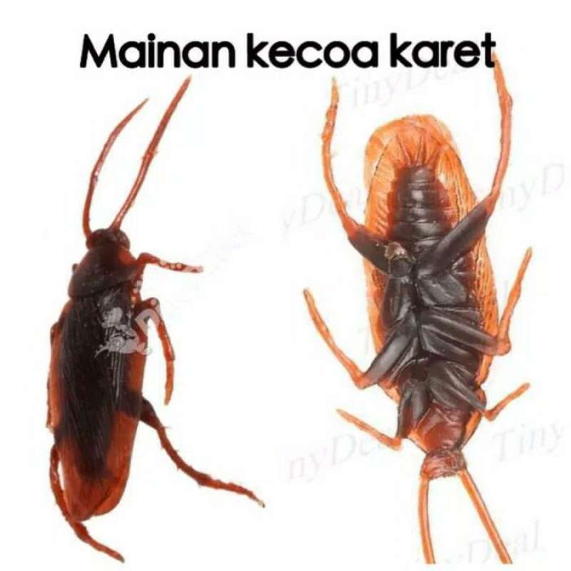 Jual Mainan kecoa karet dapat 3 pcs di Seller anekabarangunik77 ...