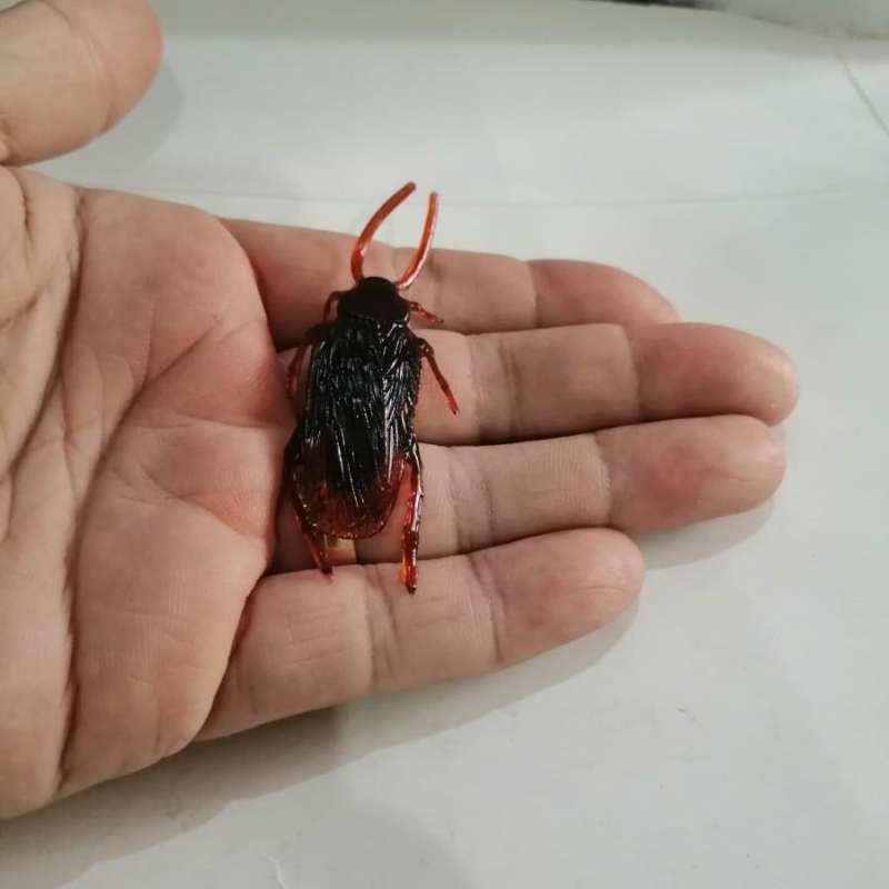 Jual Mainan kecoa karet dapat 3 pcs di Seller anekabarangunik77 ...