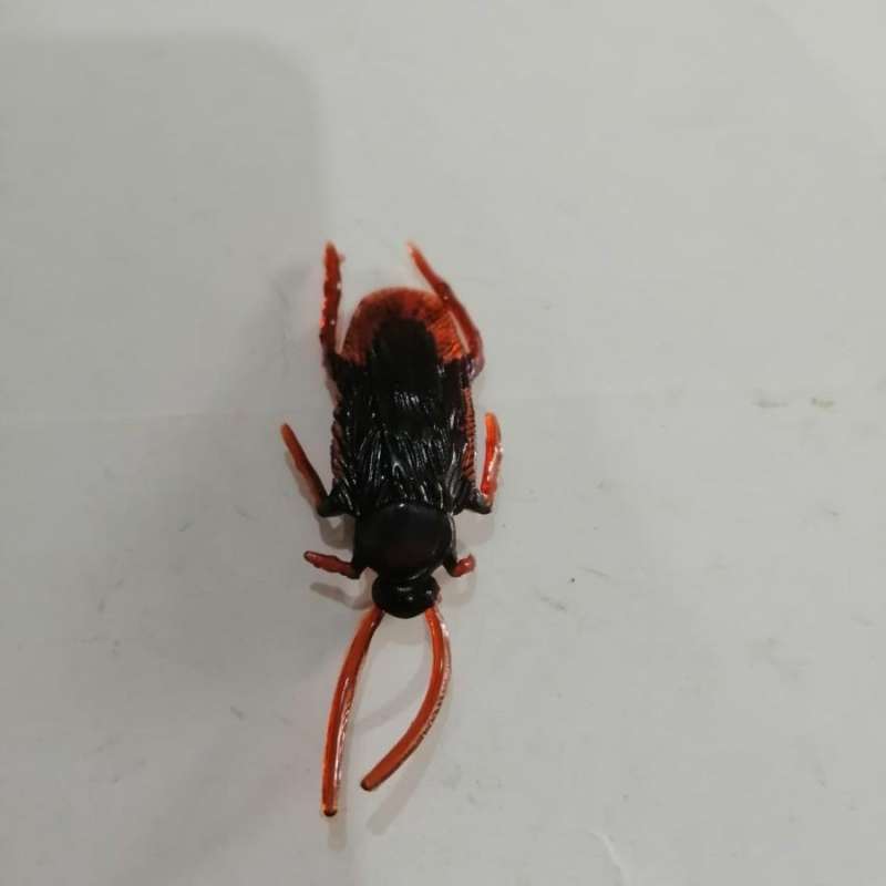 Jual Mainan kecoa karet dapat 3 pcs di Seller anekabarangunik77 ...