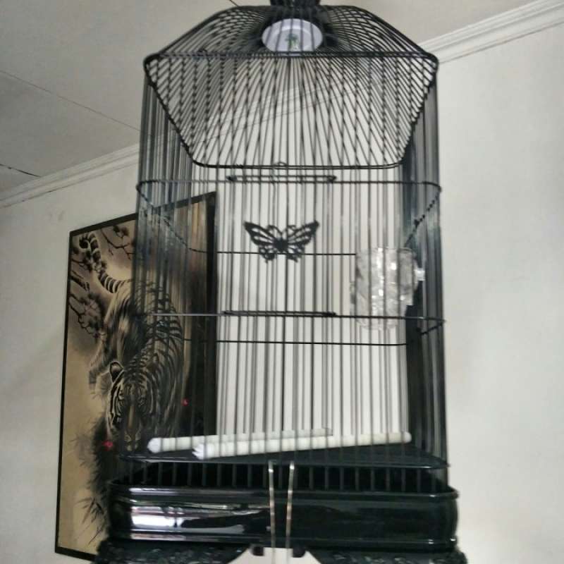 Promo sangkar boom /kandang burung kotak/sangkar lovebird/sangkar boom ... Promo sangkar boom /kandang burung kotak/sangkar lovebird/sangkar boom ...