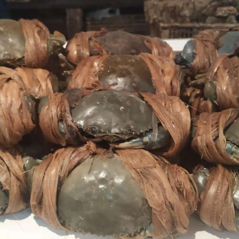 Jual KEPITING SEGAR (BANYAK DAGING) 1.0kg Halal di Seller Suplier ...