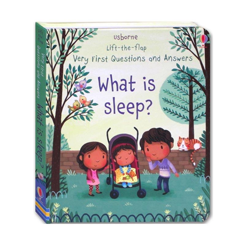 Jual Usborne Lift-the-flap Very First Questions and Answers What is ...