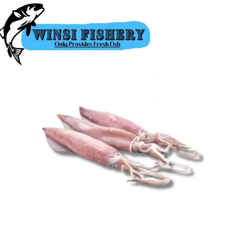 Jual CUMI BANGKA SEGAR/SEAFOOD/BISA DIBERSIHKAN/1KG di Seller Winsi ...