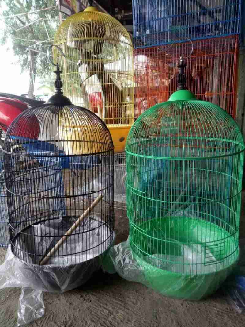 Jual Kandang Besi Jumbo Di Seller Chiko Shop - Johar Baru, Kota Jakarta ...