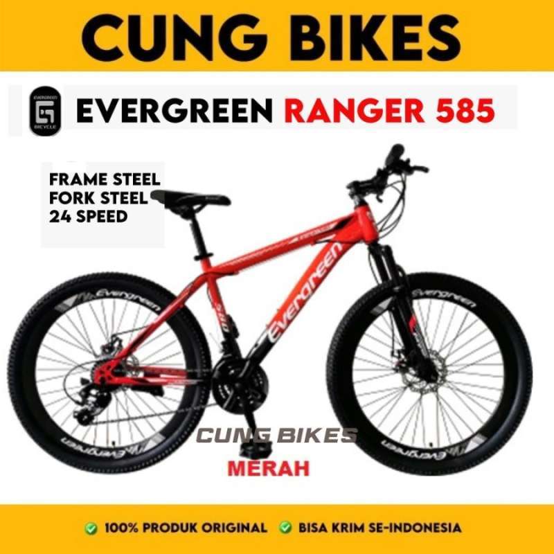 Sepeda Gunung Evergreen - Harga Terbaru Juli 2024 | Blibli