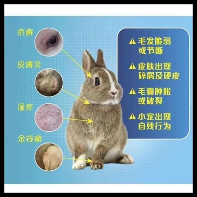 Jual PROMO DR BUNNY PROMEDI ANTIFUNGAL SPRAY ANTI JAMUR FUNGUS KILLER ...
