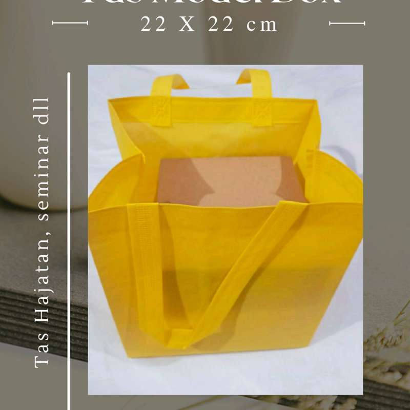 Jual Tas Spunbond Box 22x22 cm tinggi 25 cm / Tas Hajatan / goodiebag - Hijau Muda di Seller AMG ...