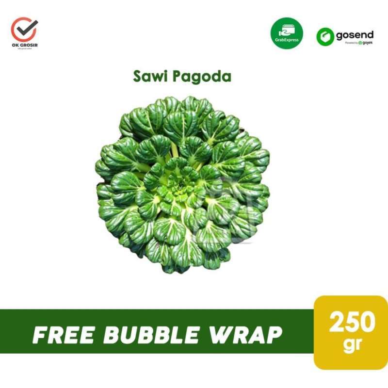 Jual SAYUR WK CAISIM/PAKCHOY/SELADA KERITING/SAWI PAGODA/KC PANJANG ...