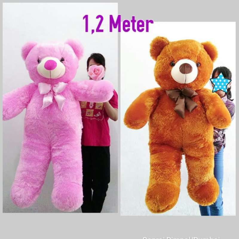 Jual Boneka Teddy Bear Jumbo Absorted - Boneka Beruang Big Ukuran 1 ...