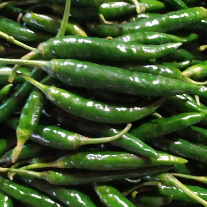 Jual CABAI HIJAU SEGAR / CABE HIJAU FRESH 500gr Halal di Seller ANEKA ...
