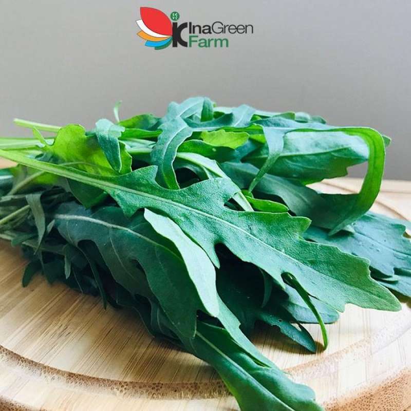 Jual Aragulu Wild Rocket Fresh 100 Gram Inagreen Farm Bandung Halal di ...