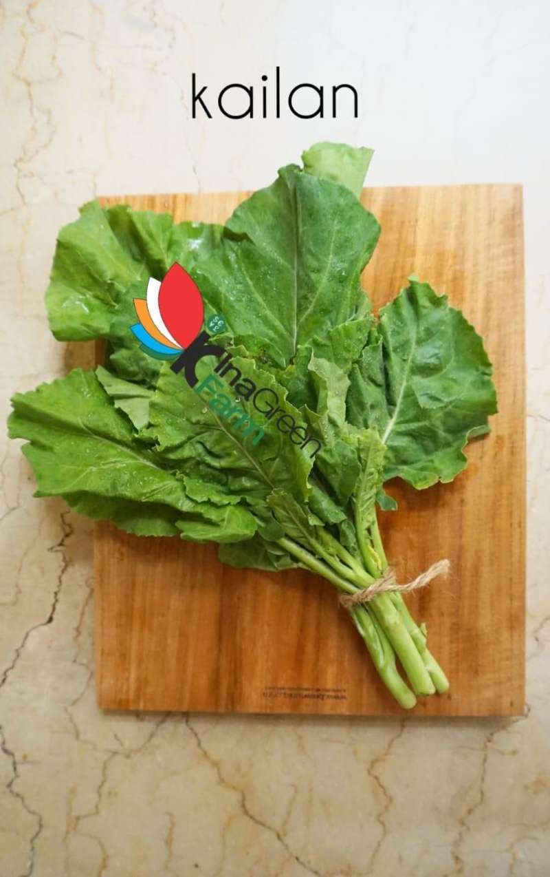 Jual Sayur Kailan Inagreen 250 Gram Bandung Halal di Seller Inagreen ...