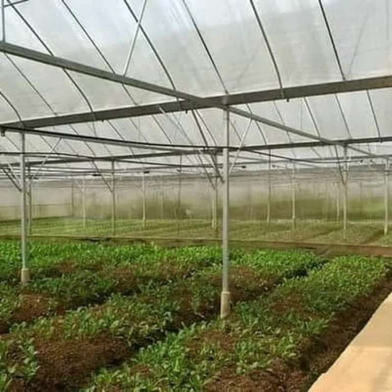 Promo Insect Net ( Kasa Putih) Jaring pengaman tanaman dari hama ...