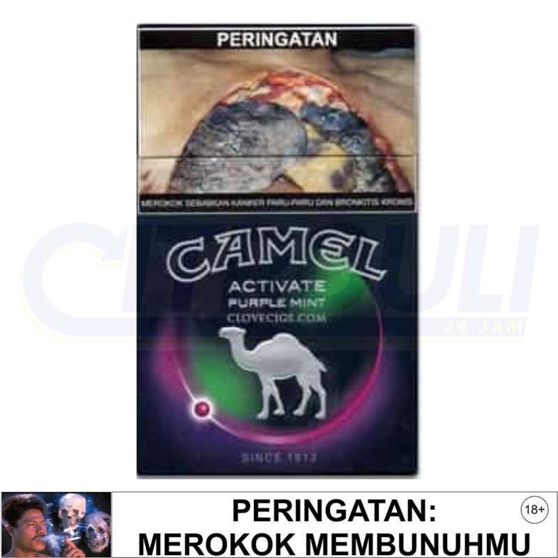 Jual Camel Purple Termurah - Harga Grosir Terupdate Hari Ini | Blibli