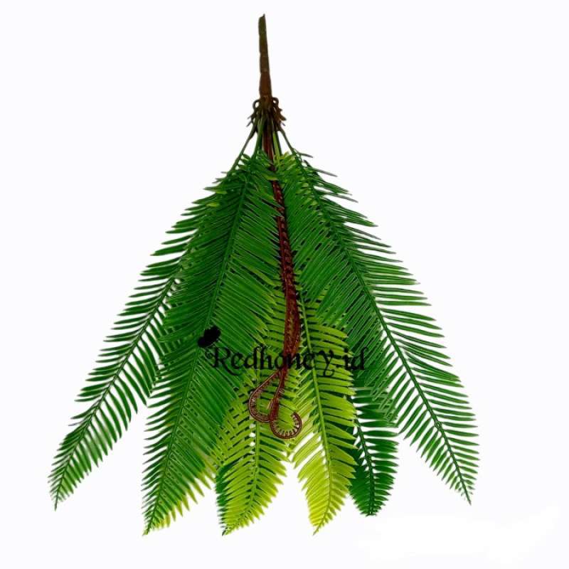 Jual Daun Pakis Artificial Di Seller Monero Store - Cilandak Timur ...