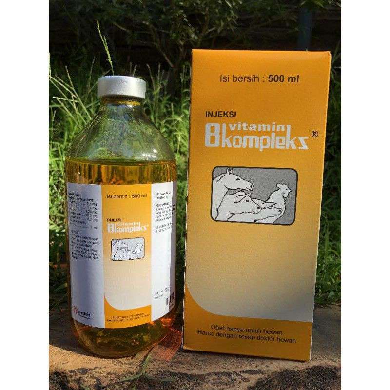 Jual Vitamin B Kompleks 500 ml Injeksi Ayam Kambing Bebek Sapi Domba di ...