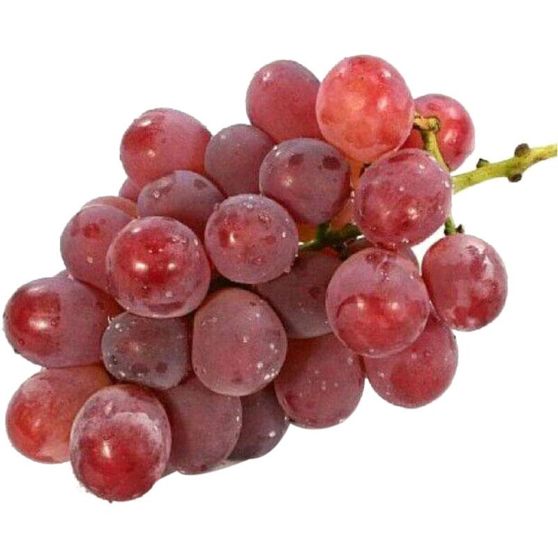 Jual BRAVO Anggur Merah Australia Buah [1 kg] di Seller IBAZA fruitsBOX ...