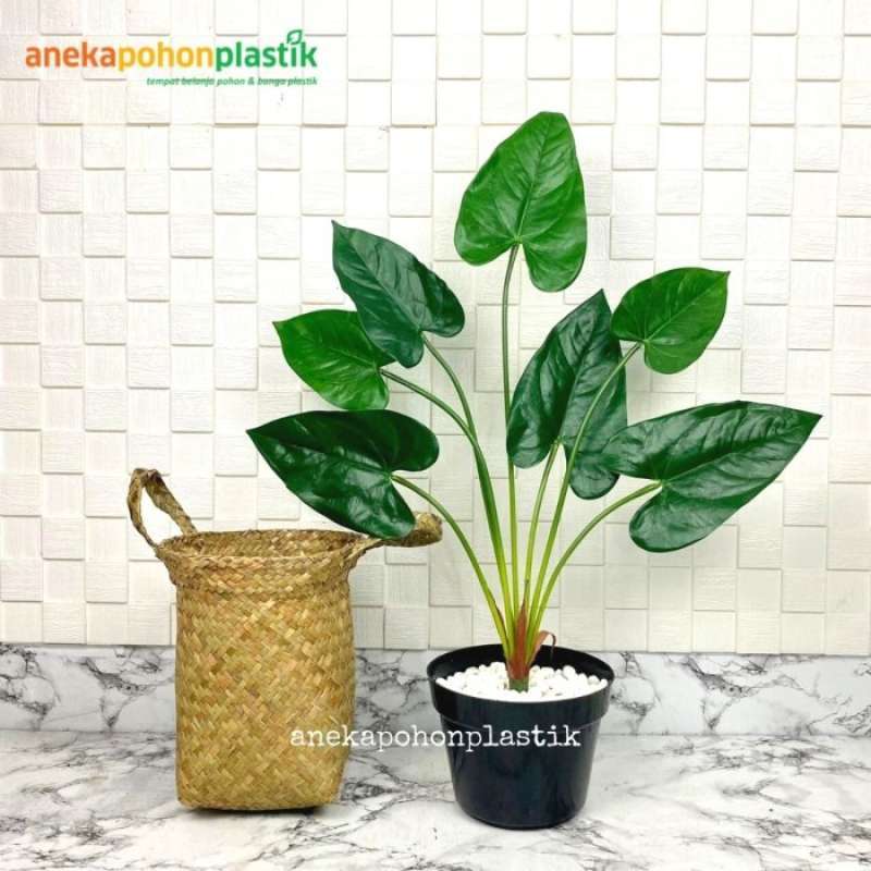 Jual Pohon Daun Talas X7 Latex Artificial Cover Pot Anyaman Purun ...