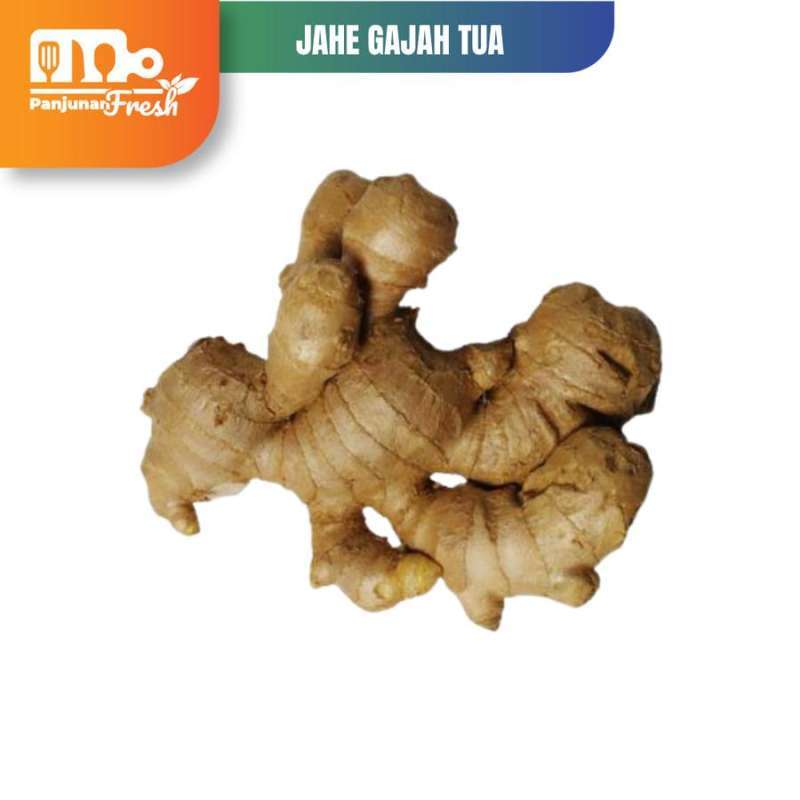 Jual JAHE PUTIH / JAHE GAJAH TUA 1 KG di Seller PANJUNAN FROZEN FOOD ...