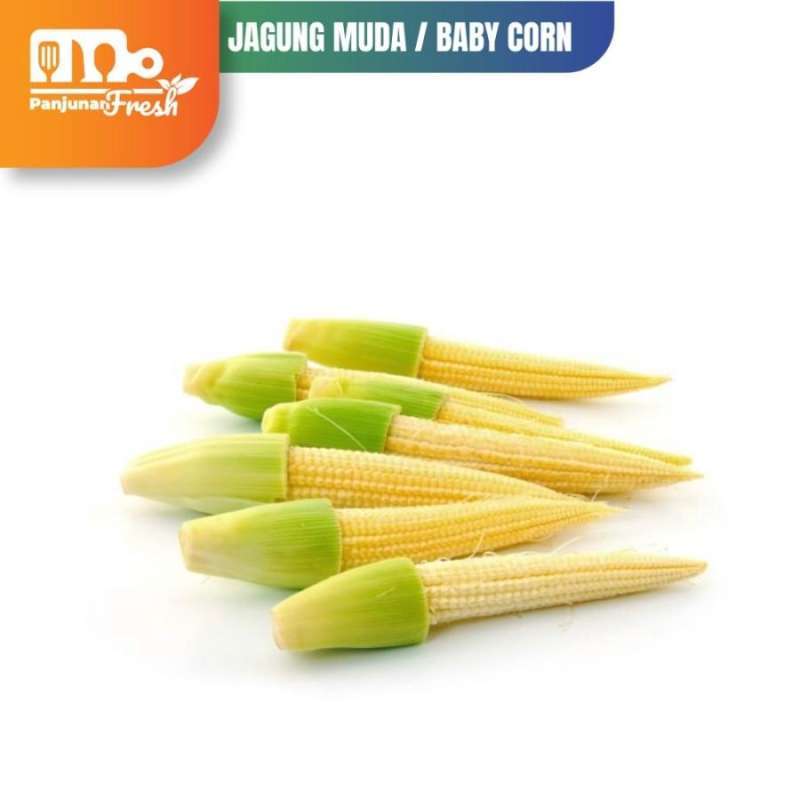 Jual Baby Corn 1 Kg Termurah - Harga Grosir Terupdate Hari Ini | Blibli