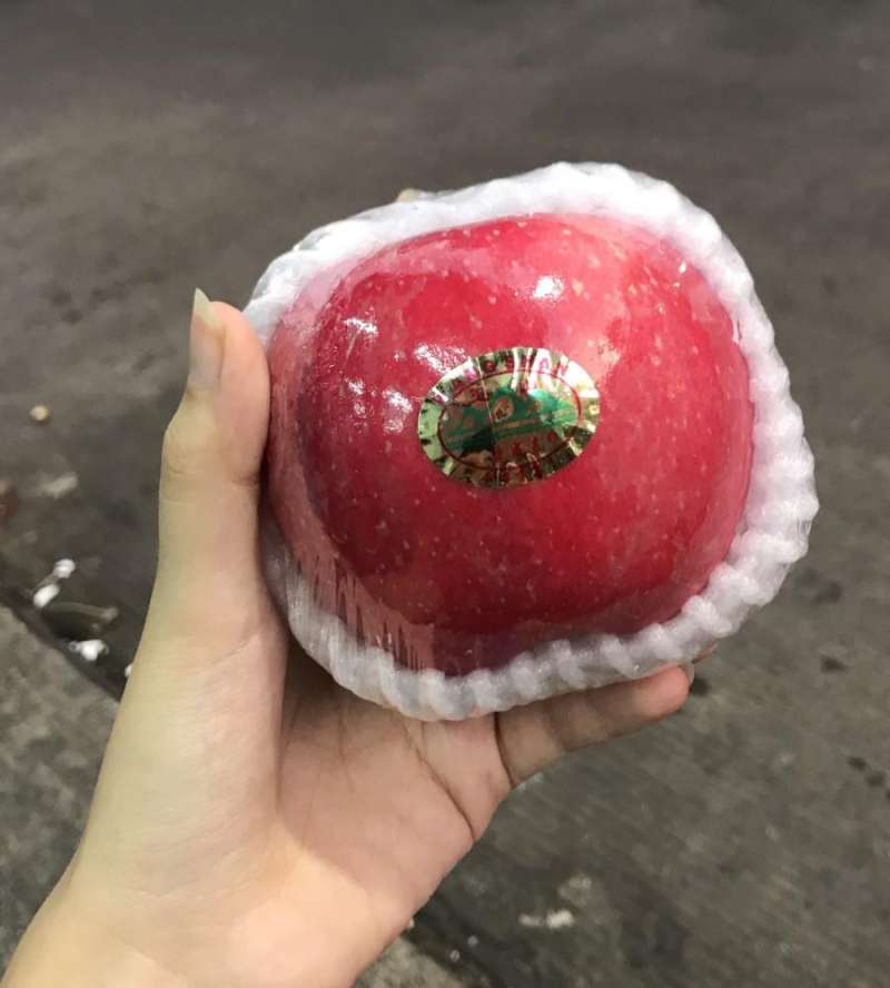 Jual Buah Apel Fuji Wang Shan Isi 9 Gift Box , Parcel Buah 3kg Di ...