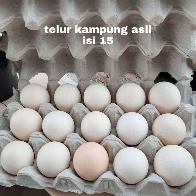 Jual Sajira Farm Telur Ayam Kampung [15 Butir] di Seller SAJIRA FARM ...