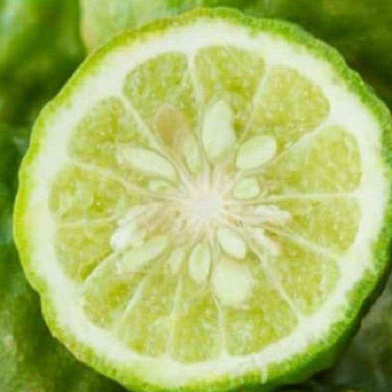 Jual JERUK LIMAU SEGAR 250 GRAM di Seller WARUNG SAYUR SEGAR TANGERANG ...