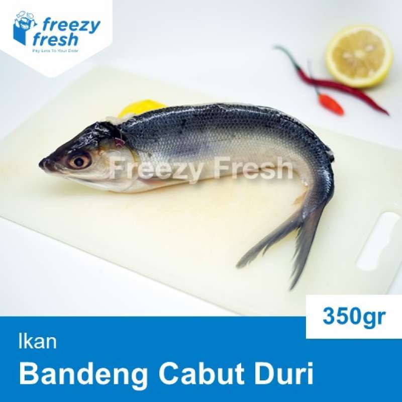 Jual FREEZY FRESH Milk Fish Bandeng Cabut Duri [350 g] Halal di Seller ...