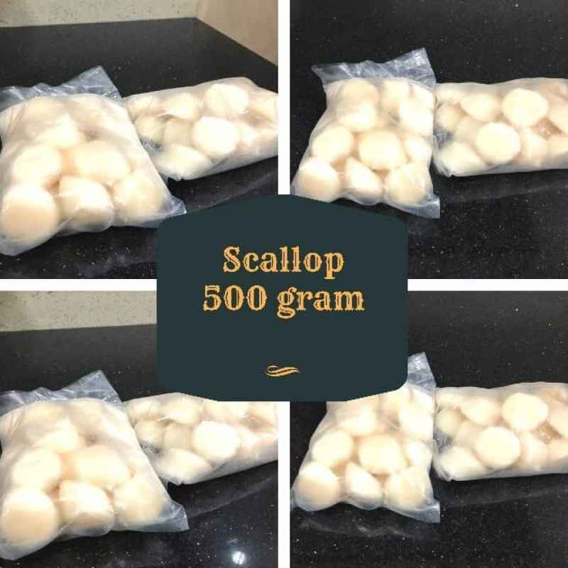 Jual Scallop Us Kemasan 500 Gram / Kerang Laut/ Scallop Usa Di Seller ...