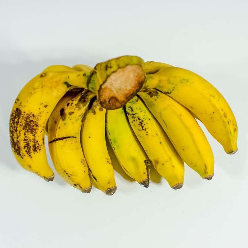 Harga Pisang Raja 1 Tandan
