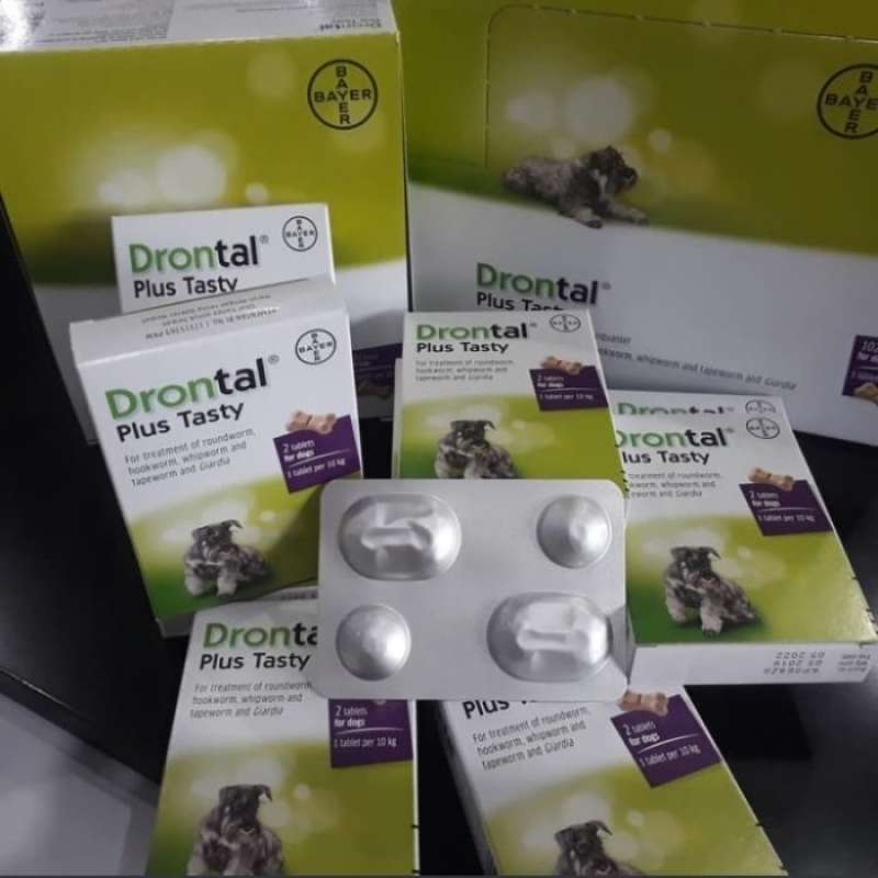 Promo Drontal Plus Flavour/Drontal Dog/Obat Cacing Anjing 1Box Isi 2 ...