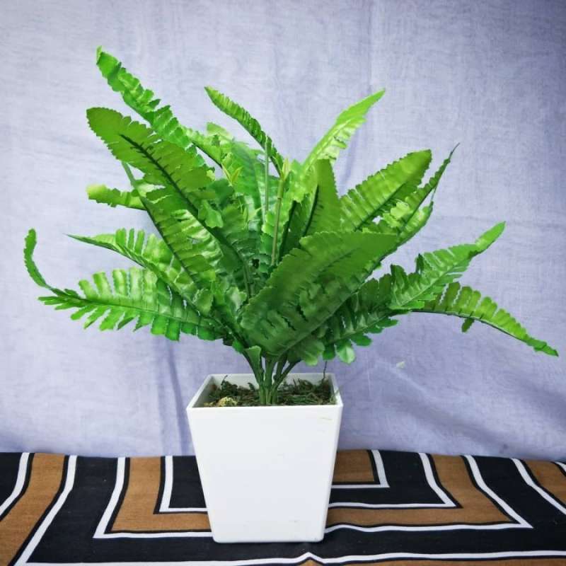 Promo Set Bunga Plastik Daun Mini Pakis Dengan Pot Melamin Hexagonal ...