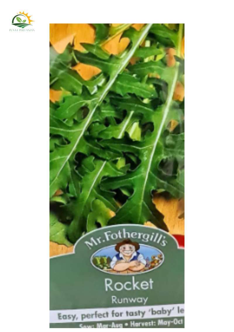 Jual Daun Rocket Original Murah - Harga Diskon April 2024 | Blibli.com