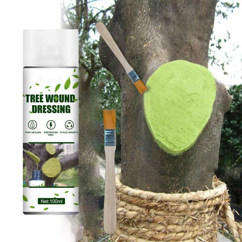 Jual 1 Set 100ML Tree Pruning Sealer Prevent Decay Repair Branch ...