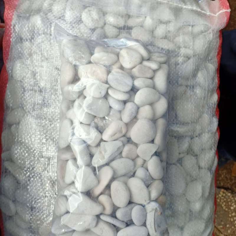 Promo Batu Coral Putih Hias Taman / Batu Putih / Batu Taman Diskon 23% ...