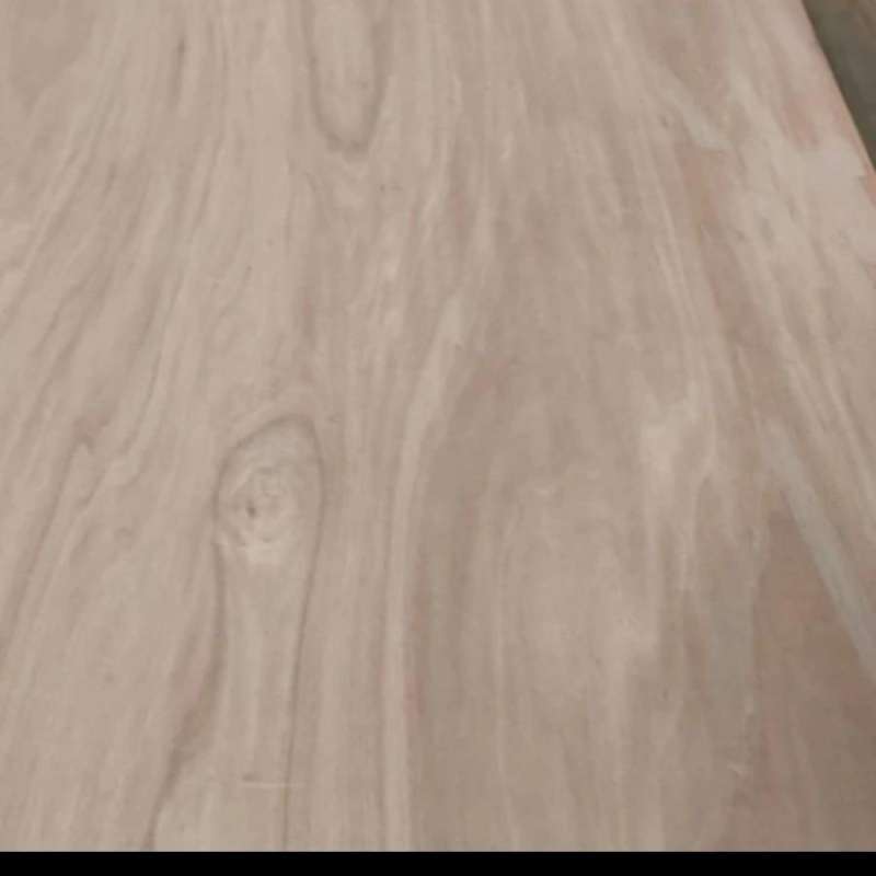 Jual Triplek Papan Multiplex Tebal 9mm 9 Mm 120 X 240 Cm Kli Meranti ...