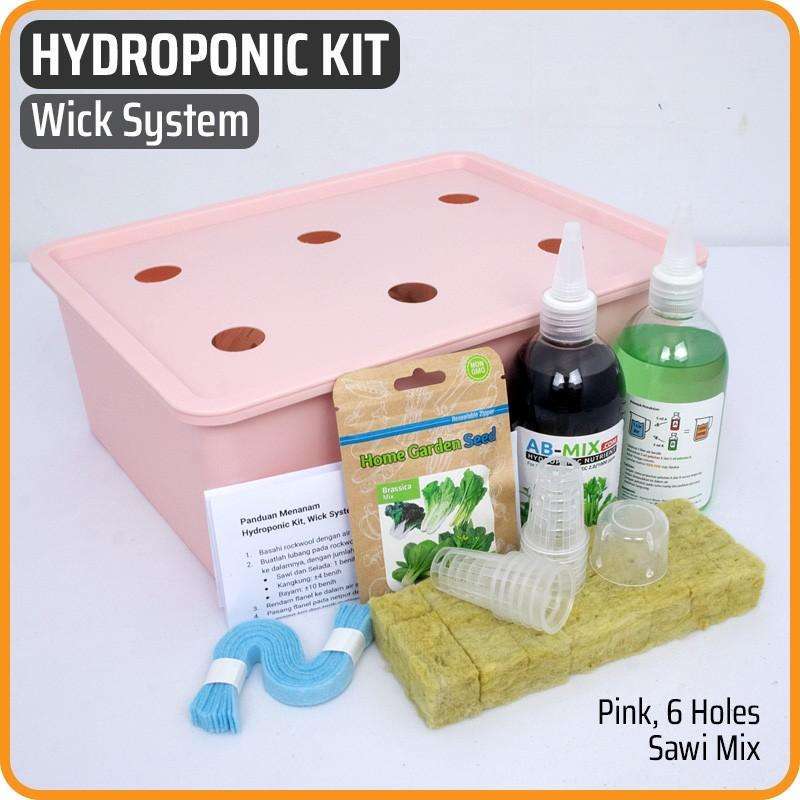 Jual Paket Pemula Hidroponik Lengkap, Hydroponic Kit Wick System, 1 ...