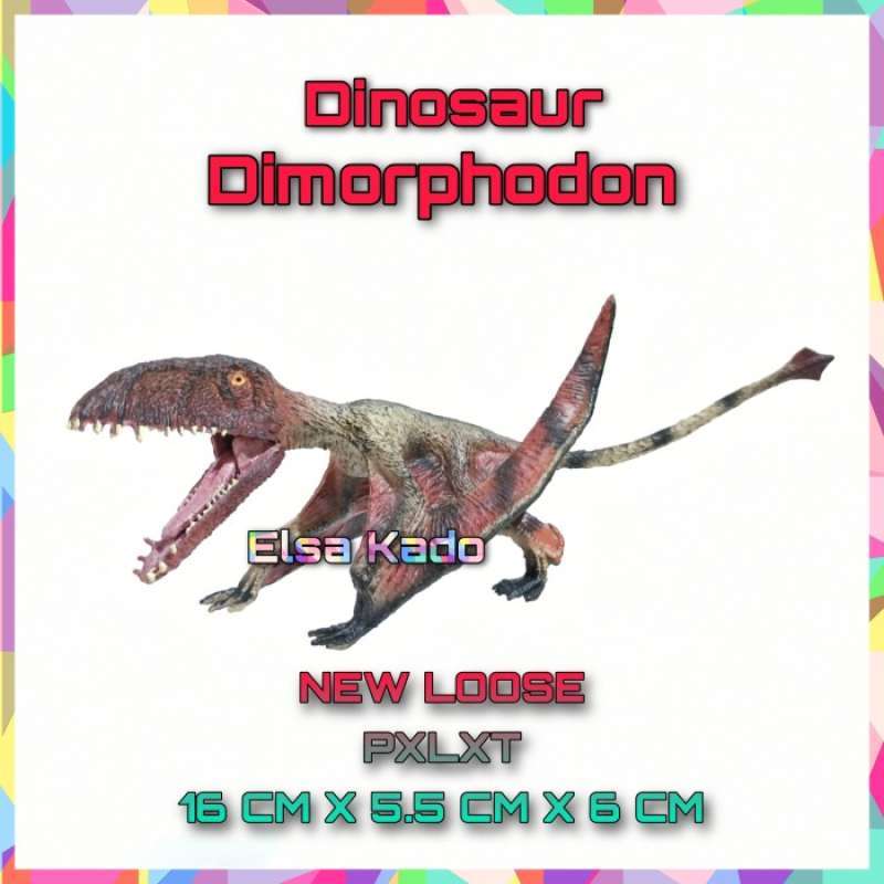 Promo MAINAN DINOSAURUS DIMORPHODON JURASSIC FIGURE PTERODACTYL ...