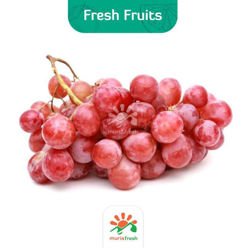 Jual MURIAFRESH Premium Australia Anggur Merah [1000 g] Halal di Seller ...
