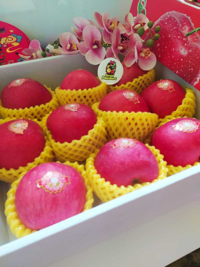 Promo Fuji Apple Gift Box Series Special Imlek Diskon 10% Di Seller ...