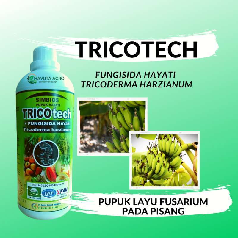 Promo Pupuk Hayati Tricotech, Pupuk Fungisida Hayati untuk layu fusarium pada pisang Diskon 7% ...