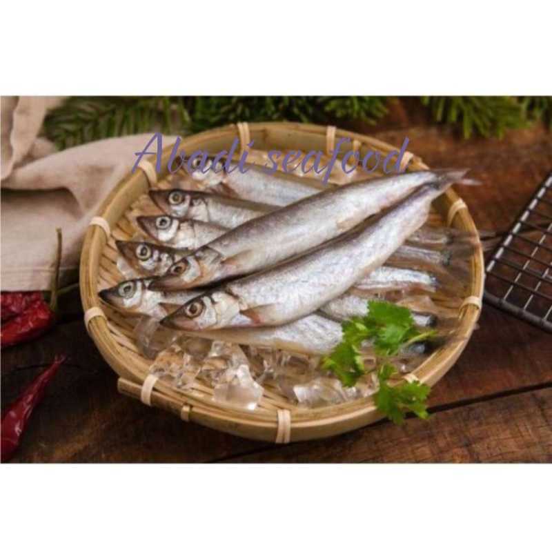 Jual shisamo fish capelin frozen kemasan 150~170 gram di Seller Abadi ...