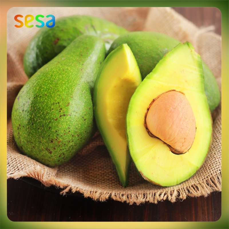 Jual Buah Alpukat Mentega Super 1 kg Halal di Seller Sesa Official ...